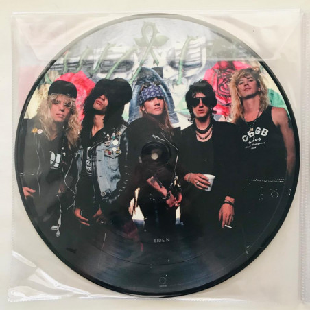 Guns N' Roses - Greatest Hits - 2 Picture LP Vinyl PH
